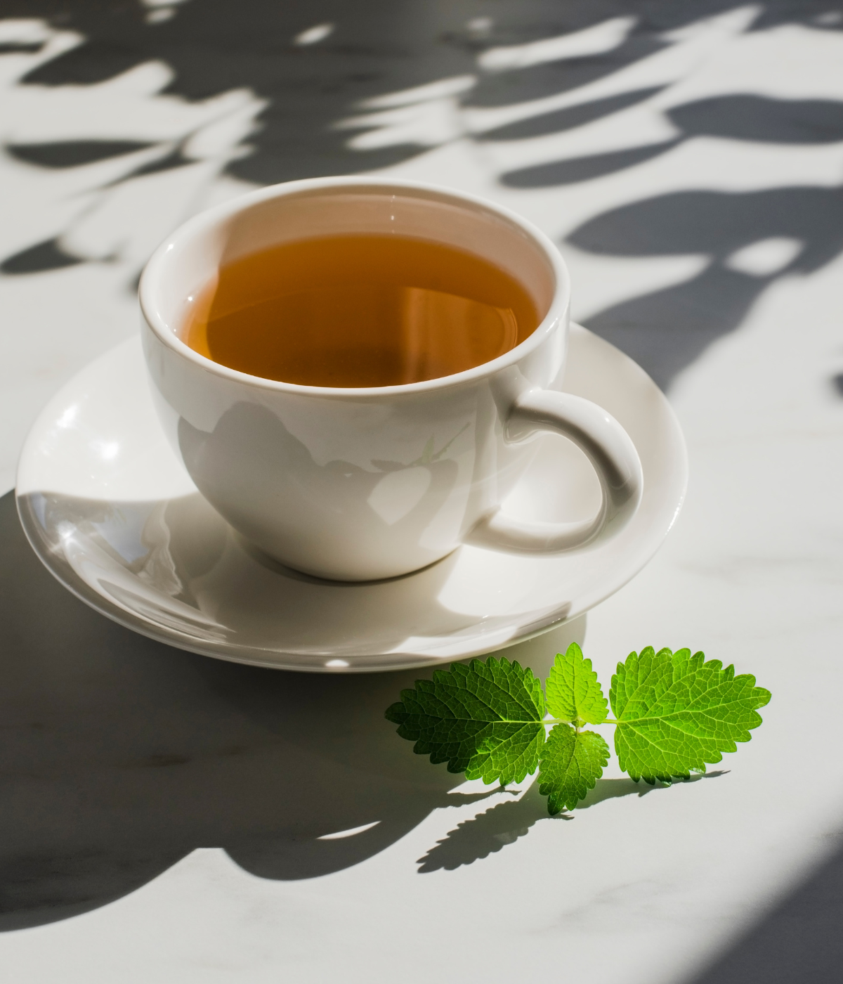 High-Iron Herbal Mint Tea - Lucky Iron Life