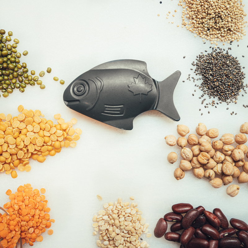 Lucky Iron Fish - Safe and Easy-To-Use Solution for Iron Deficiency ...